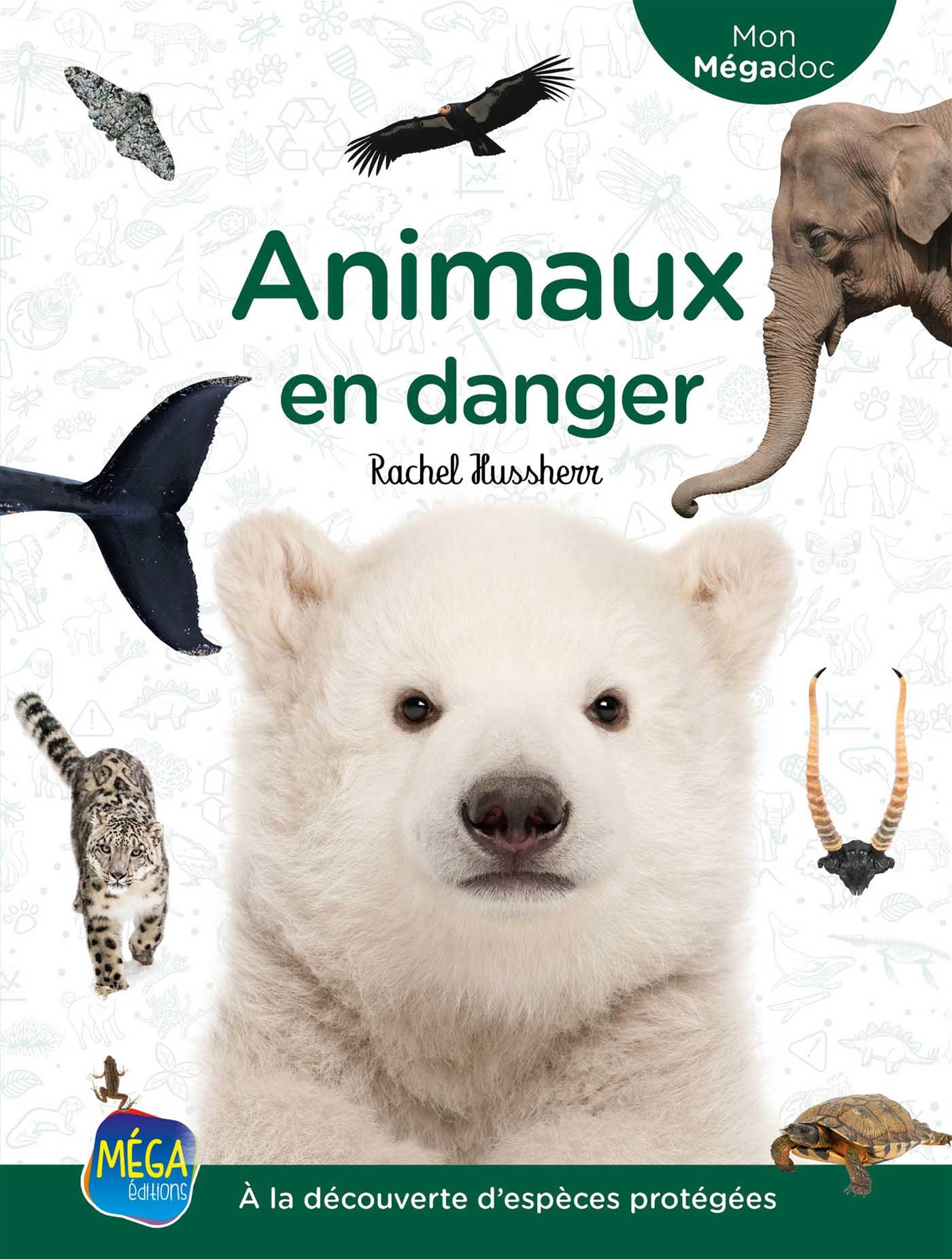 Animaux en danger – QUB livre