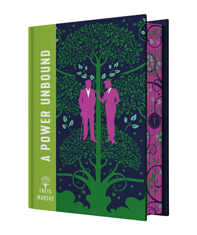 The Last Binding Trilogy, T3 : A Power Unbound – QUB livre