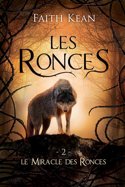 Le Miracle des Ronces : Les Ronces 2 – QUB livre